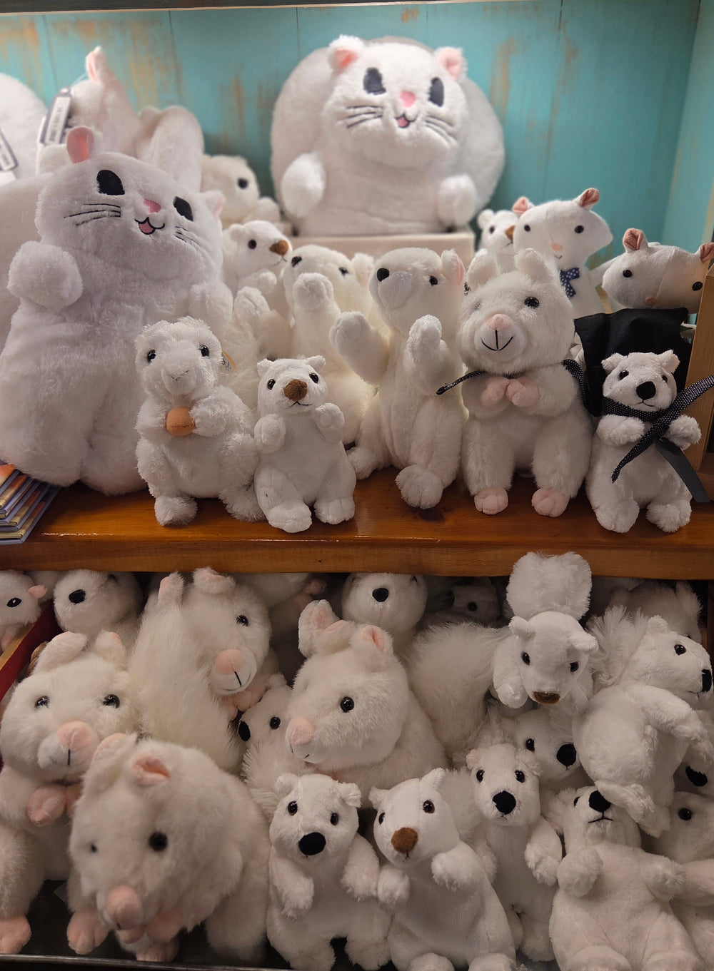 White Squirrel Shoppe